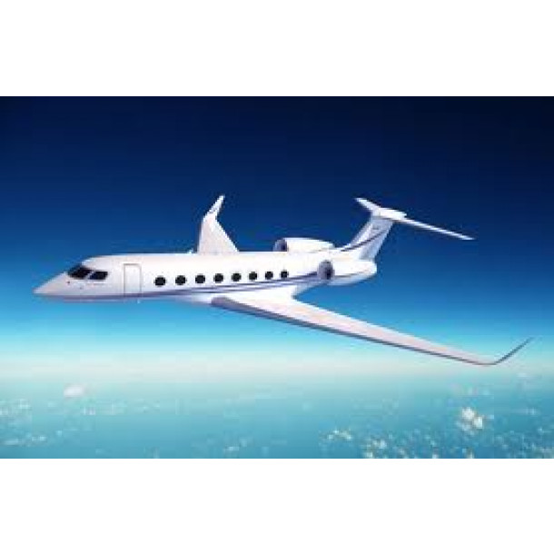 Gulfstream Engine Stand | Aircraft Maintenance Platform | Industrial